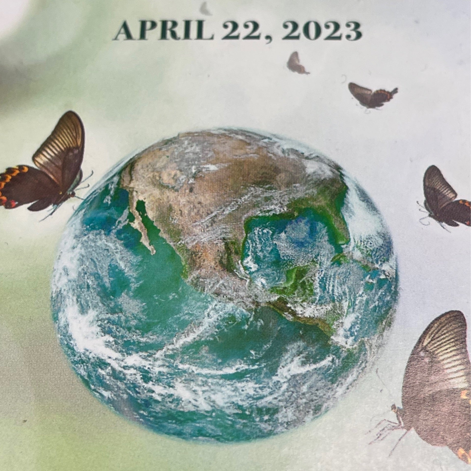 Bentley - Earth Day (2023) Planet Pollinator - Pollinator Flower Mix ...